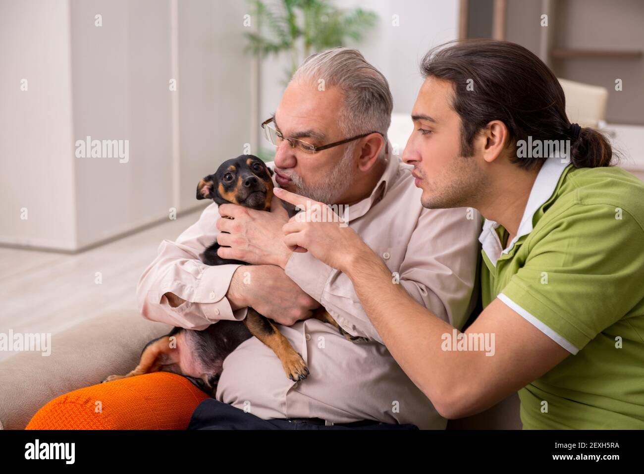 Two men with dog in the room Stock Photo - Alamy