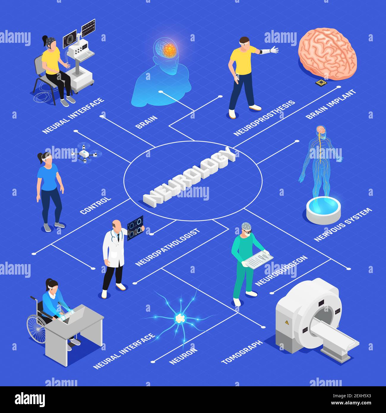 Neurology and neural surgery isometric flowchart with neural research ...