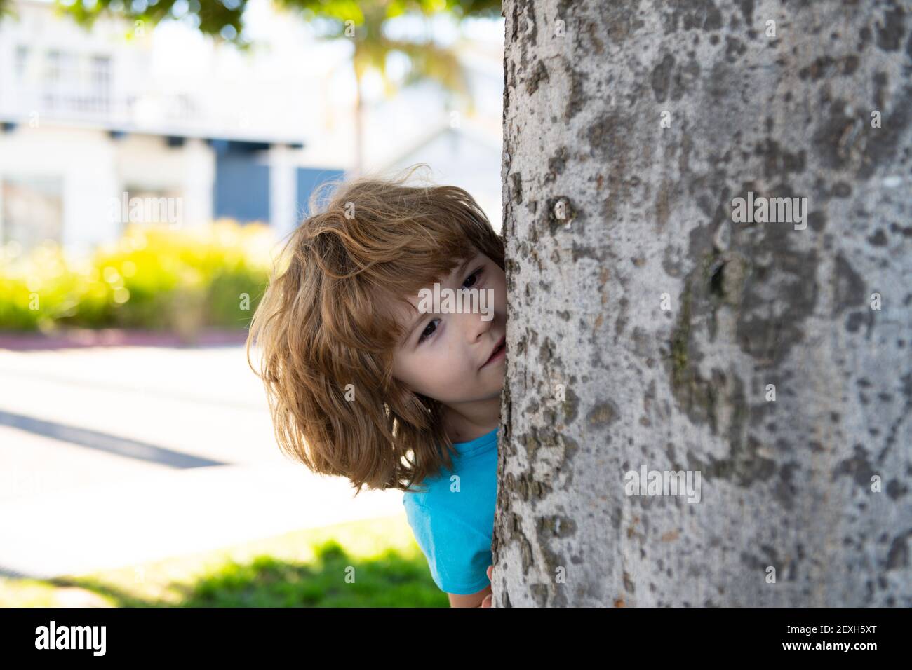 Kids active games. Playing hide and seek. Peekaboo. Little boy hiding ...