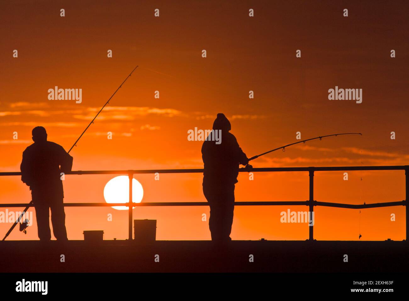 Calm fish hi-res stock photography and images - Alamy