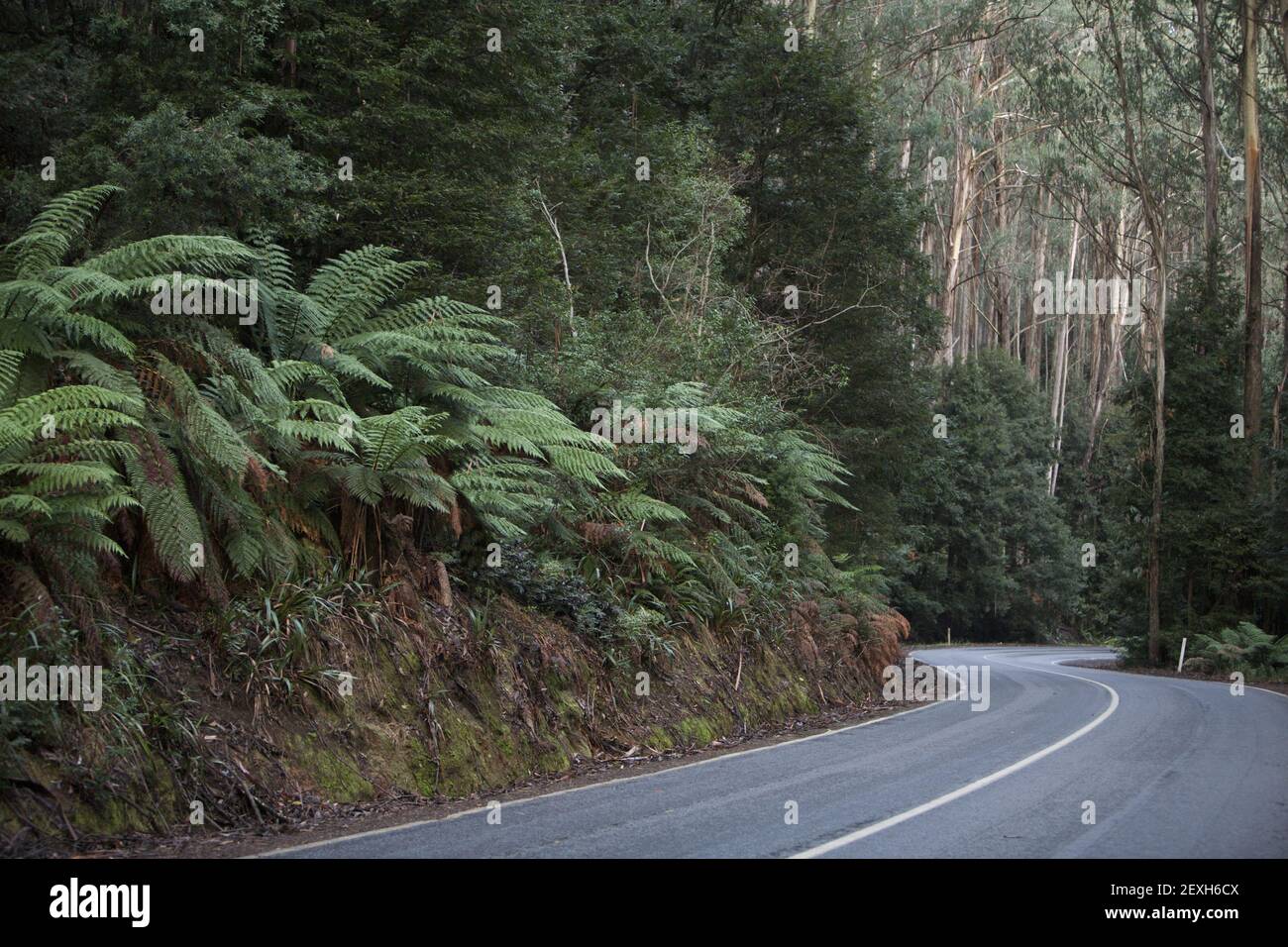 Curved bike lane hi-res stock photography and images - Alamy