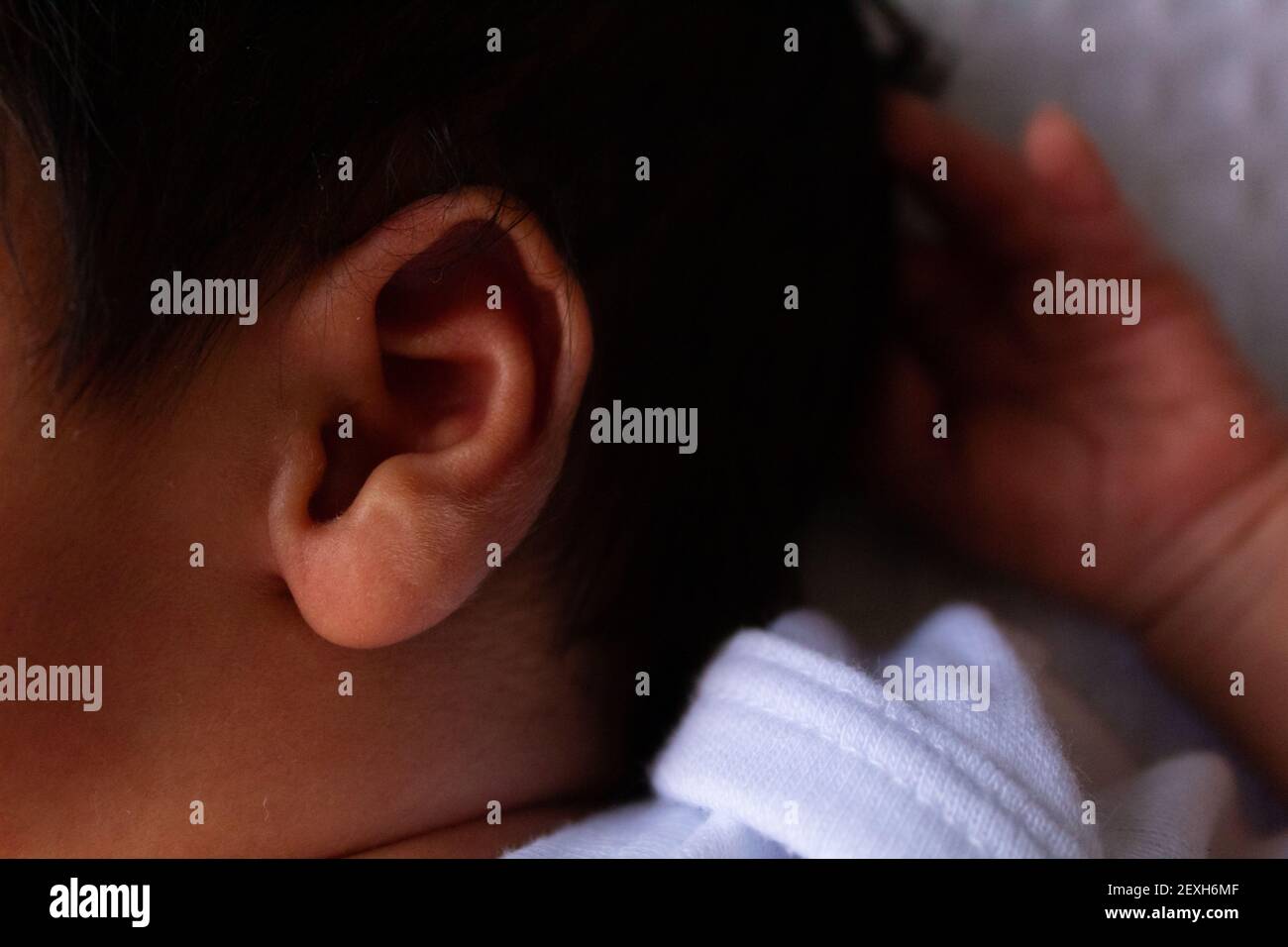 close up of a baby's ear Stock Photo - Alamy