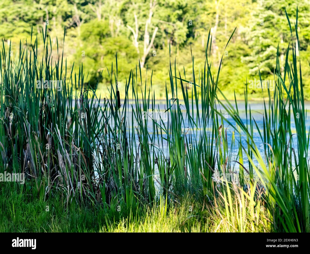 Keystone state park hi-res stock photography and images - Alamy