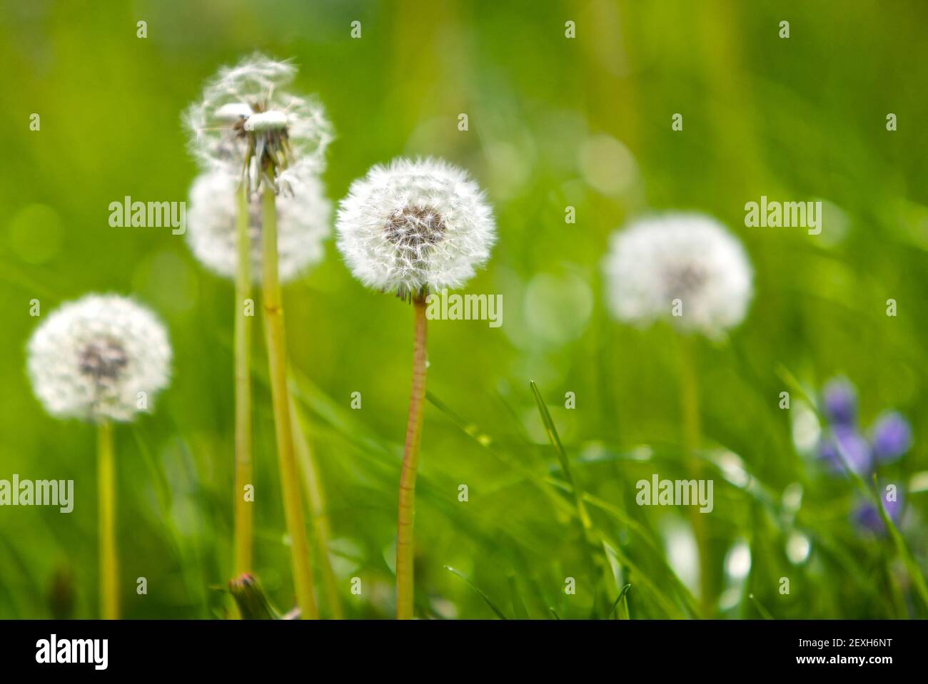 Metaphorical hi-res stock photography and images - Alamy