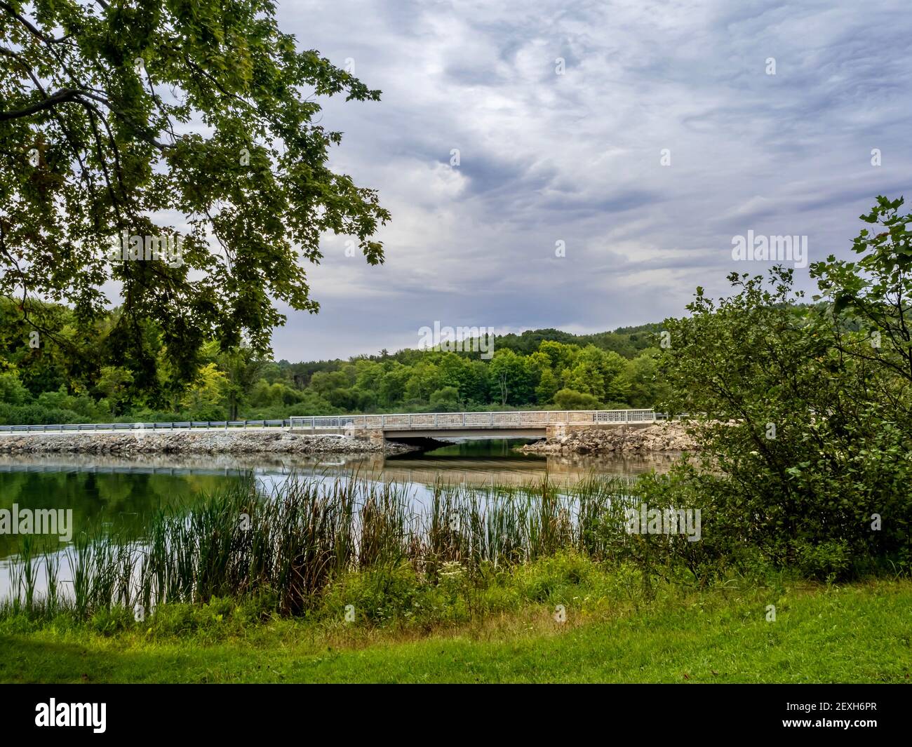 Wetland natural land state hi-res stock photography and images - Alamy