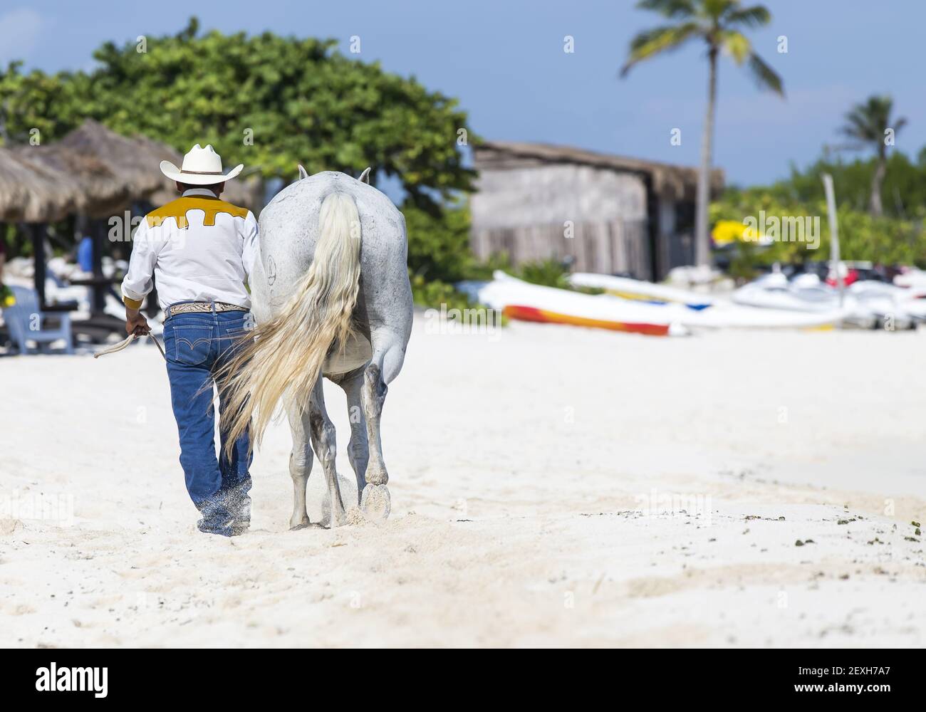 Adult male cowboy hi-res stock photography and images - Alamy