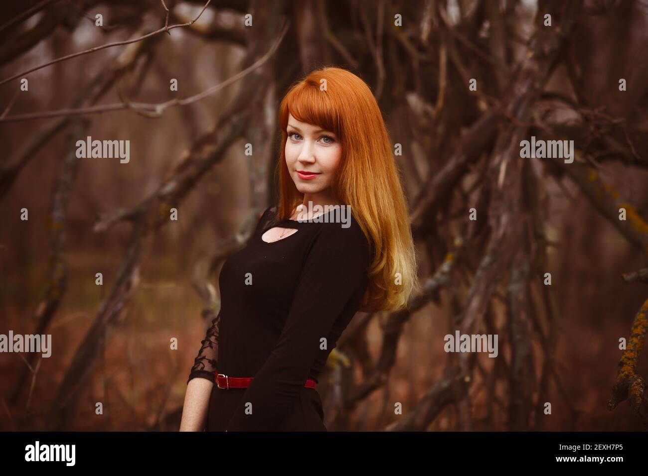 Red-haired model face girl in black woman dress dry autumn dark Stock ...