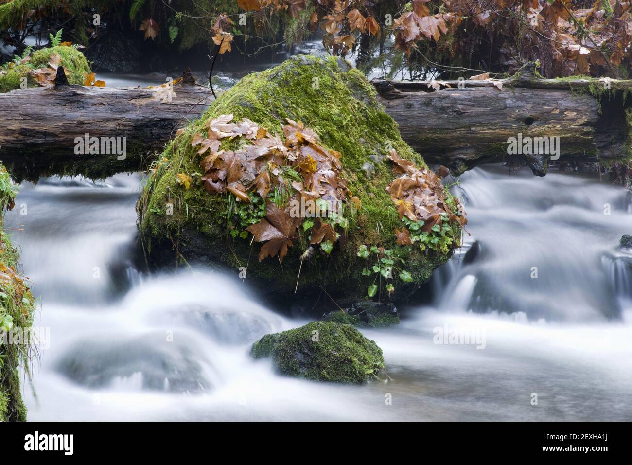 Chattooga river hi-res stock photography and images - Alamy