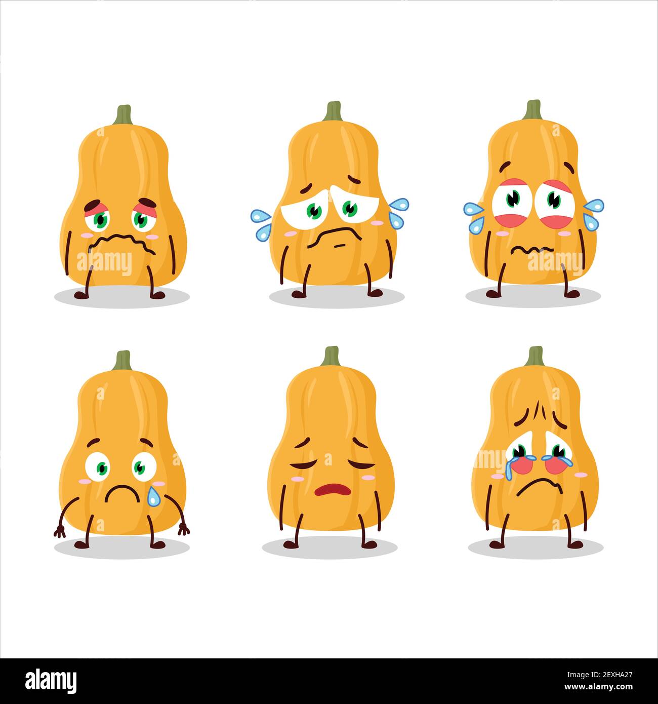 Uncooked sliced butternut squash Stock Vector Images - Alamy
