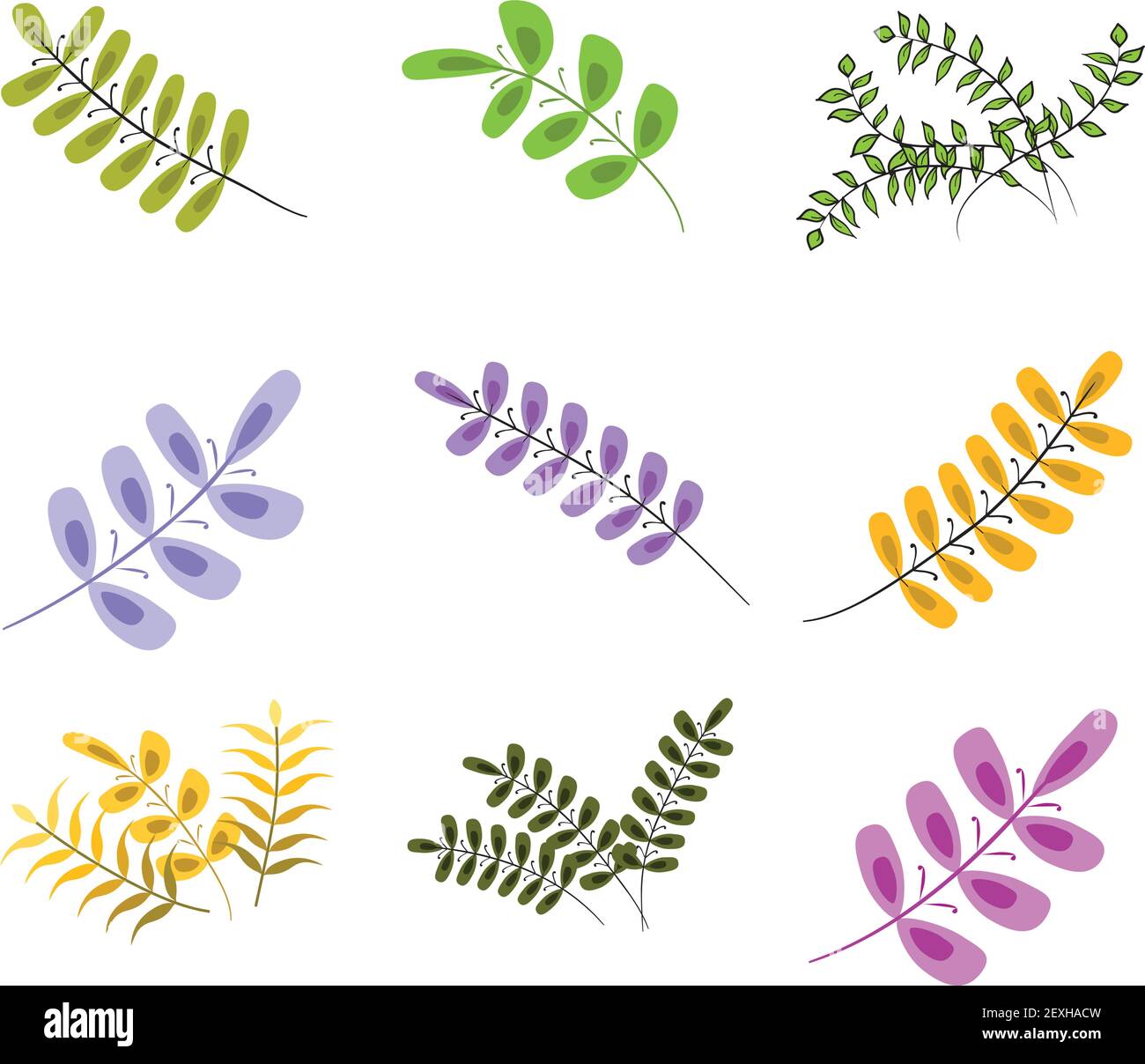 vector leaf design set Stock Vector Image & Art - Alamy