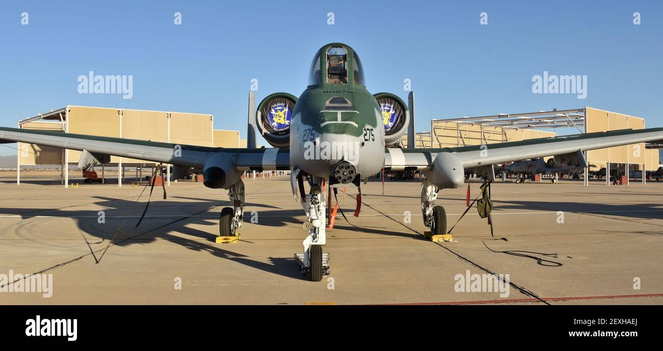 An Air Force A-10 Warthog Thunderbolt II attack jet with jungle ...