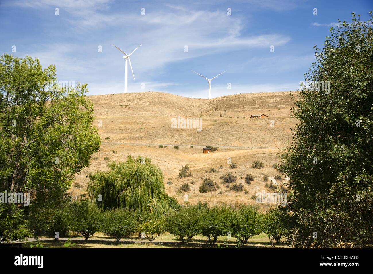 Rural Country Side Modern Green Wind Energy Generator Turbine Stock ...