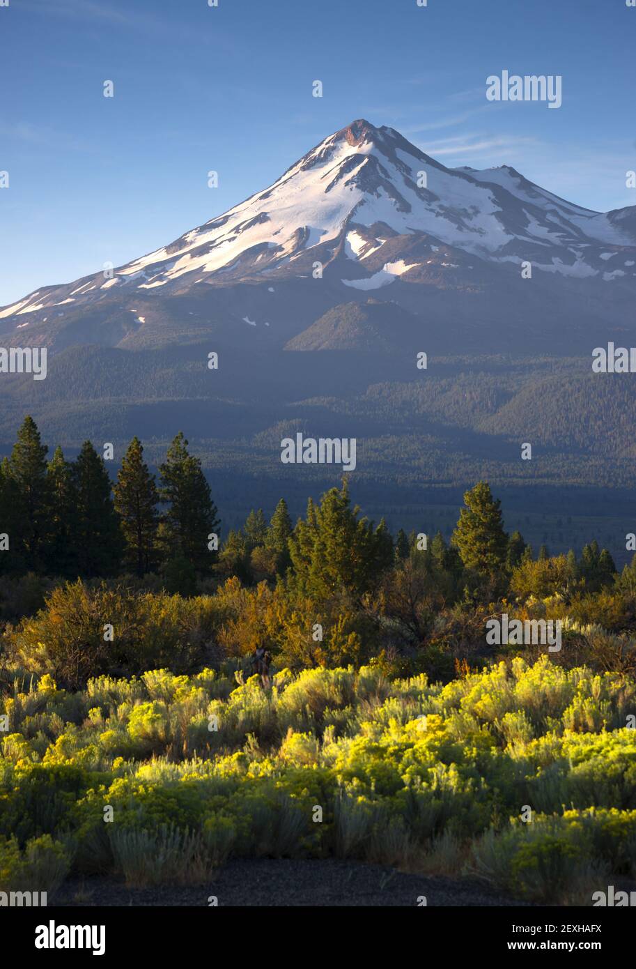 Dramatic Sunrise Light Hits Mount Shasta Cascade Range California Stock ...