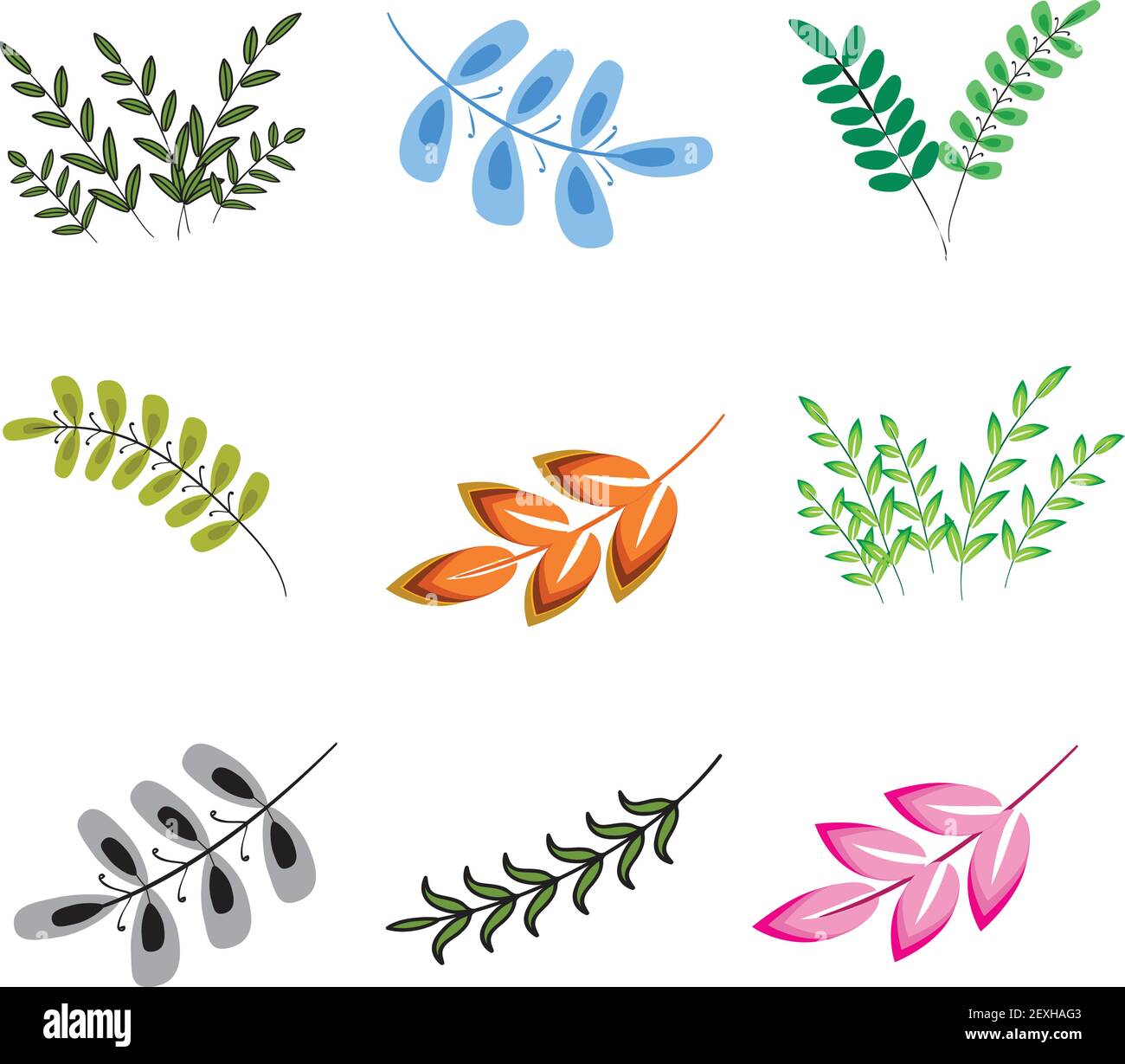 vector leaf design set Stock Vector Image & Art - Alamy