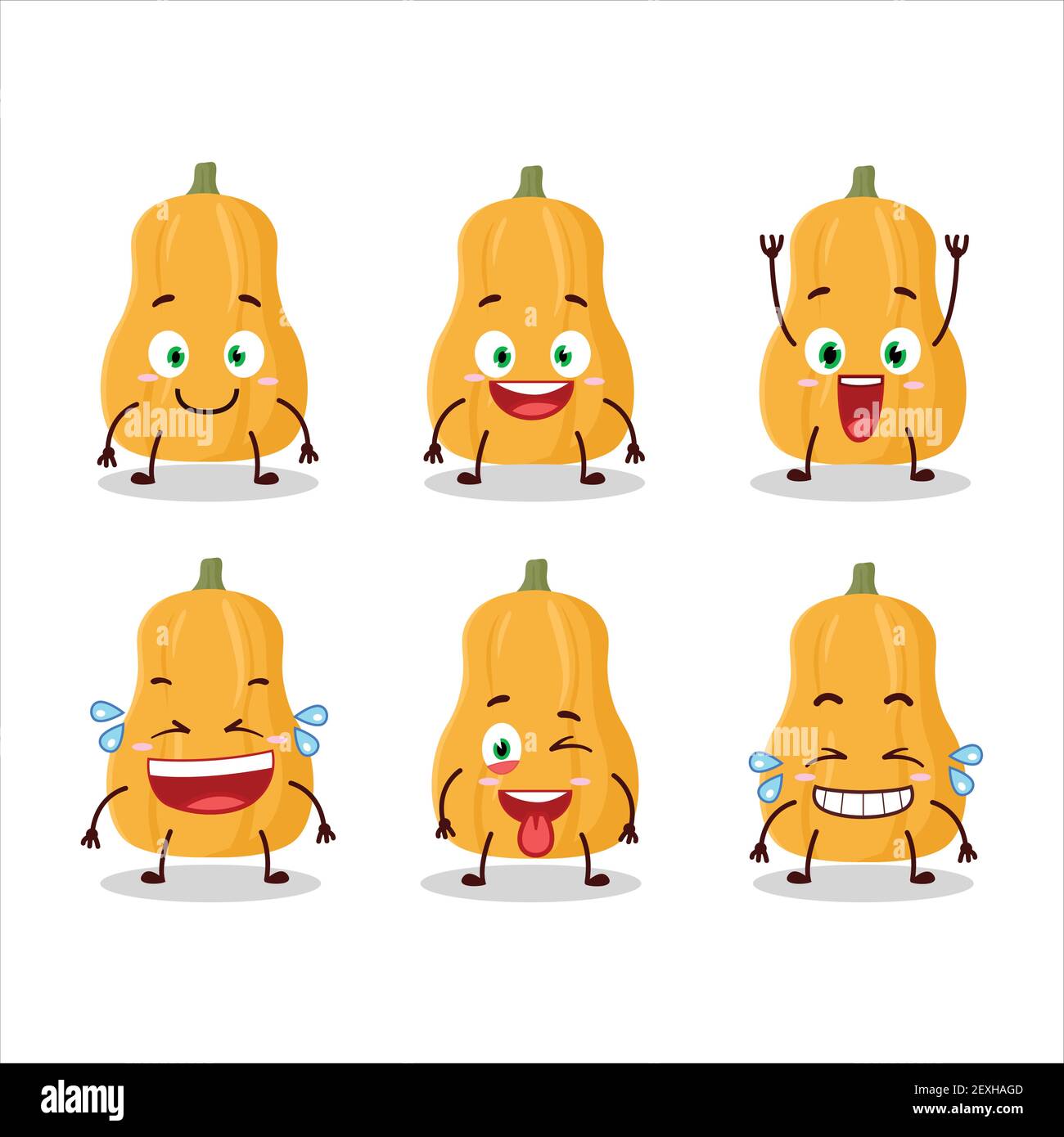 Uncooked sliced butternut squash Stock Vector Images - Alamy