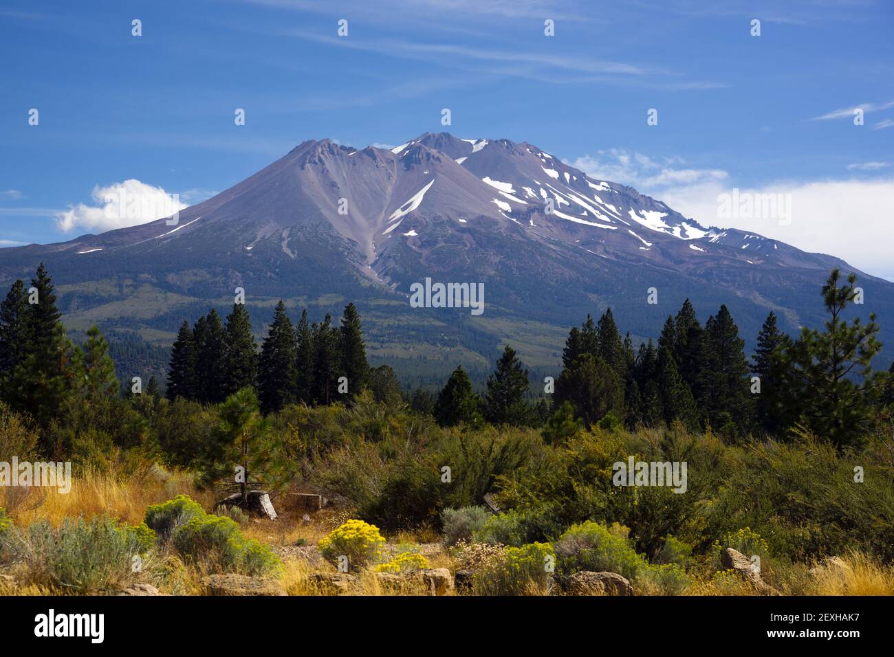 Hot Summer Day Weed California Base Mount Shasta Mountain Cascades Stock Photo - Alamy