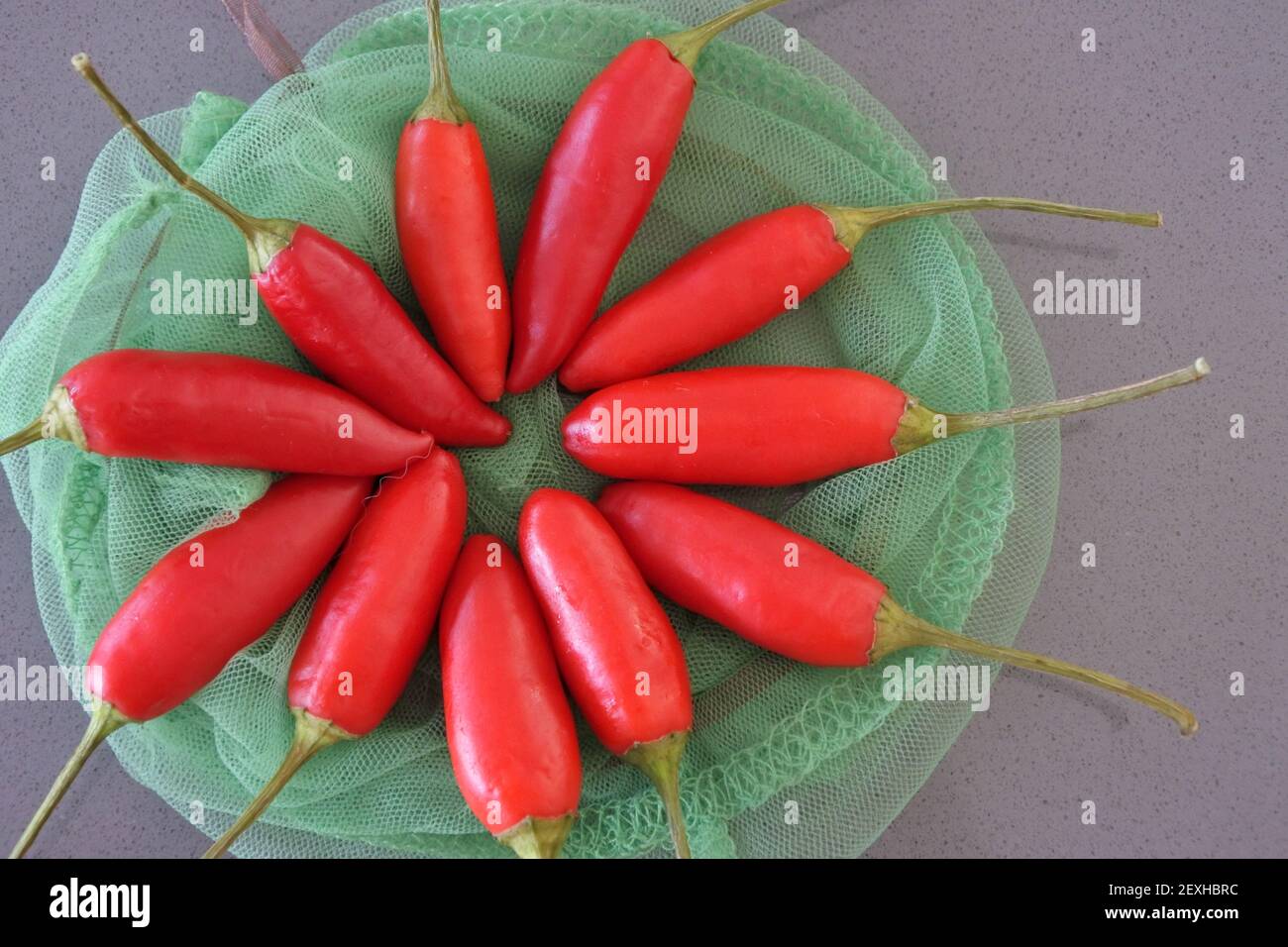 Birds Eye Chilli Plant High Resolution Stock Photography and Images - Alamy