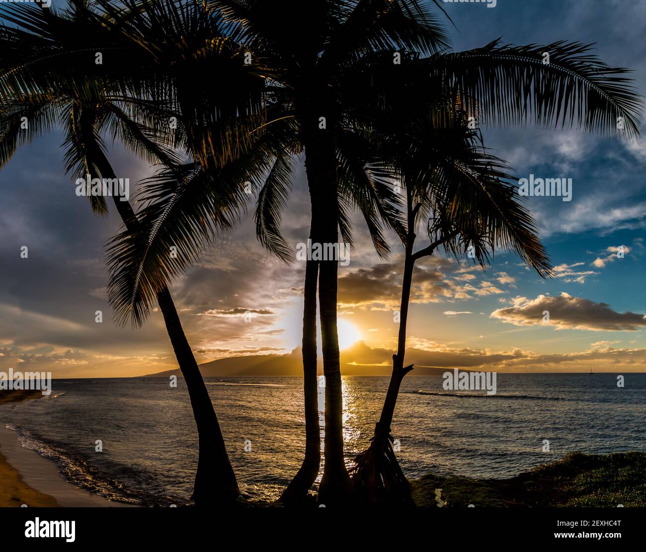 Sunset Over Lanai With Palm Tree Silhouette, Across Lahaina Bay, Maui ...