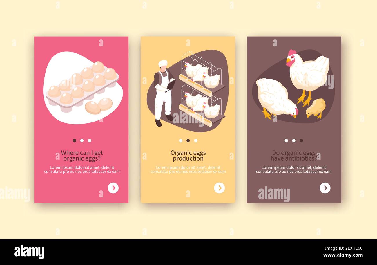 Organic Eggs And Chicken Meat Production 3 Isometric Vertical Poultry