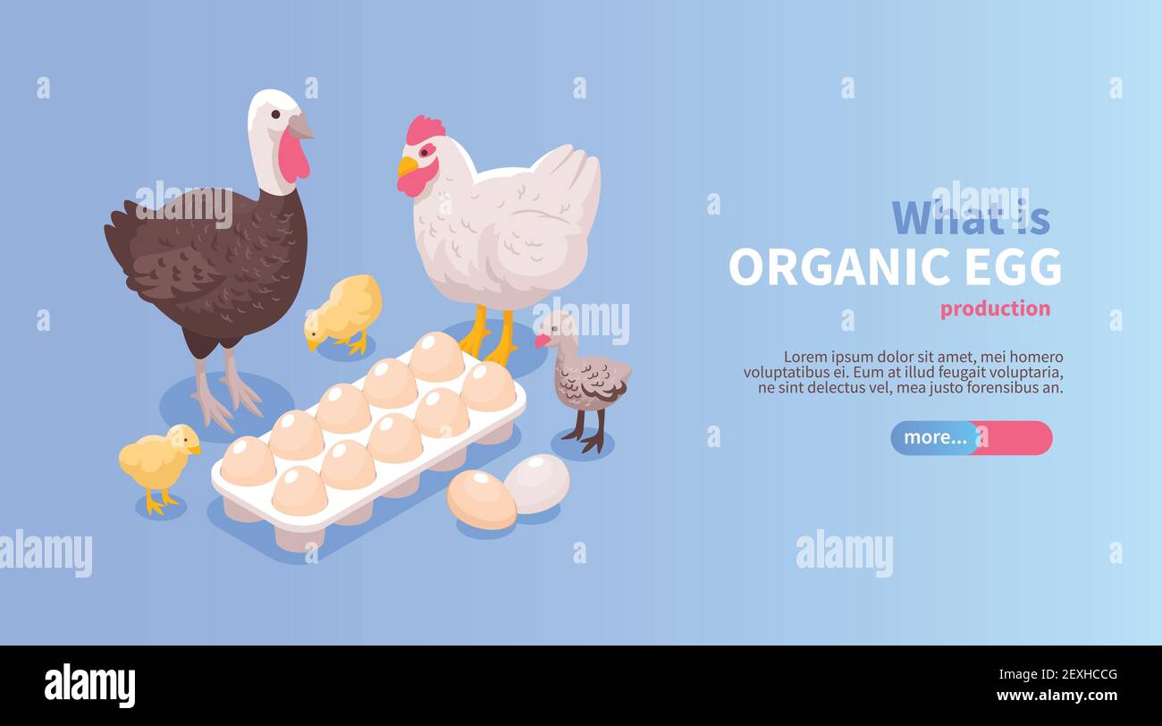 Poultry farm production isometric horizontal website banner design with ...