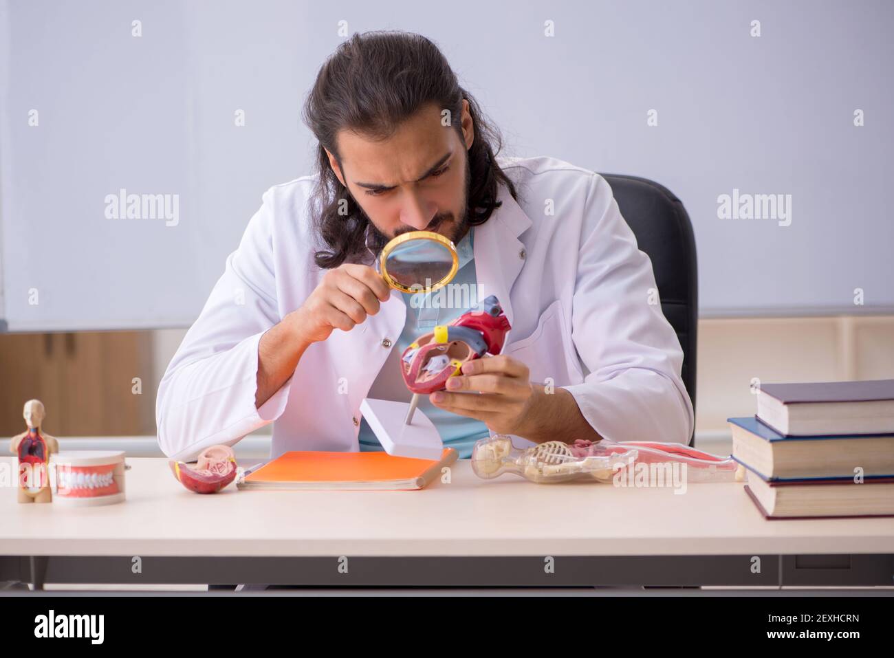 Young student studying human anatomy Stock Photo - Alamy