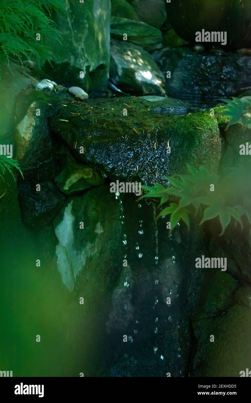 A vertical shot of water droplets falling down off the rocks in the ...