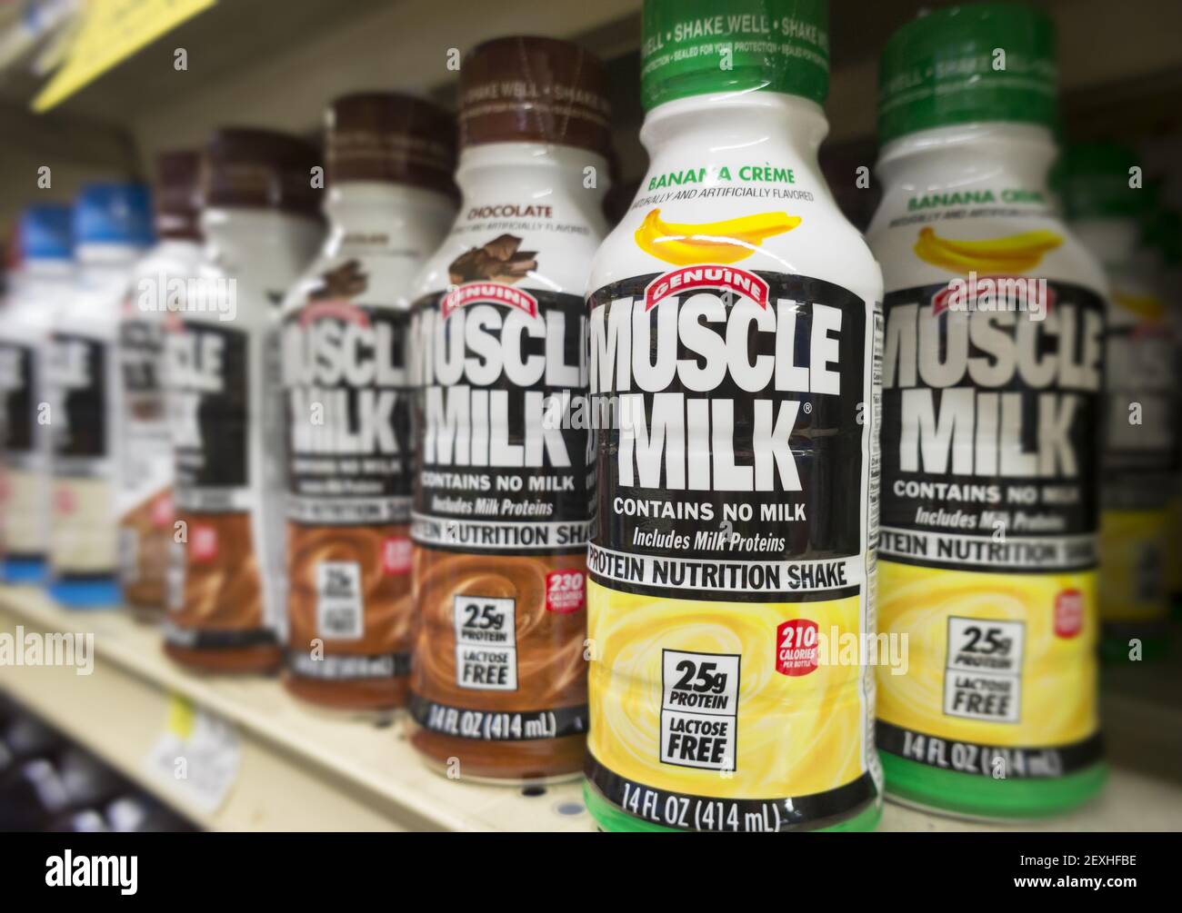 Bottles of the Muscle Milk brand protein drink are seen on a grocery ...