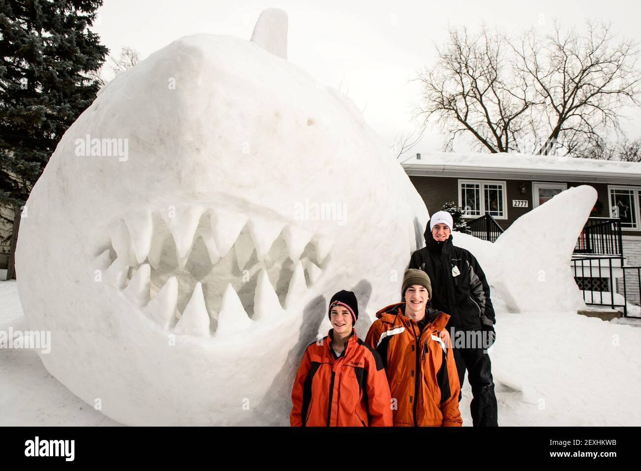 Connor, Trevor and Austin Bartz, seen on Jan. 1, 2014, built a16-foot ...
