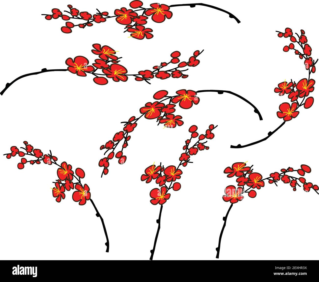 vector drawing Plum blossom Stock Vector Image & Art - Alamy
