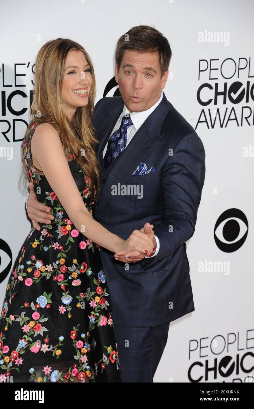 Michael Weatherly attends the 2014 People's Choice Awards, held at ...