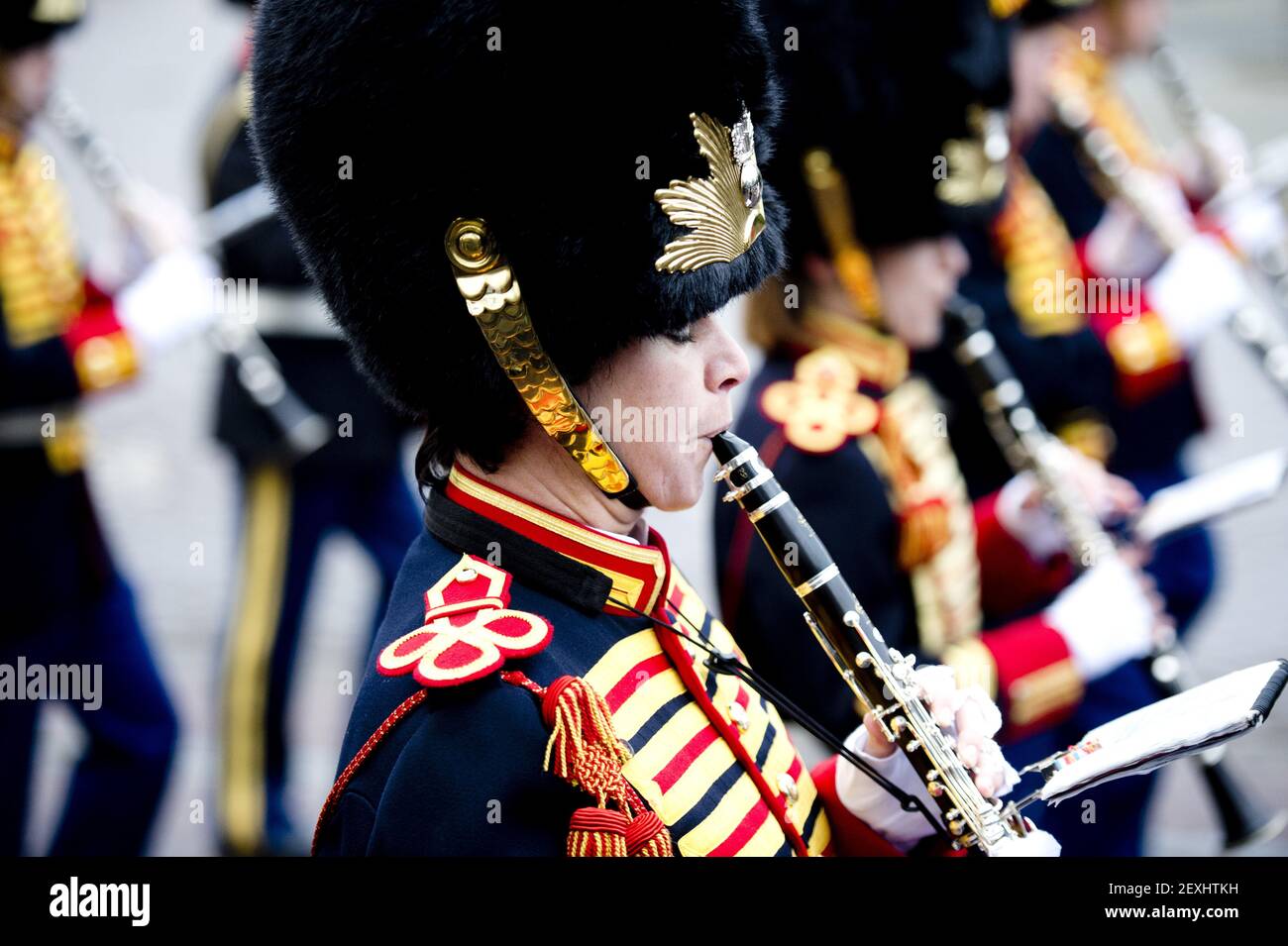 The Dutch military celebrate its 200th anniversary on January 9, 2014 ...