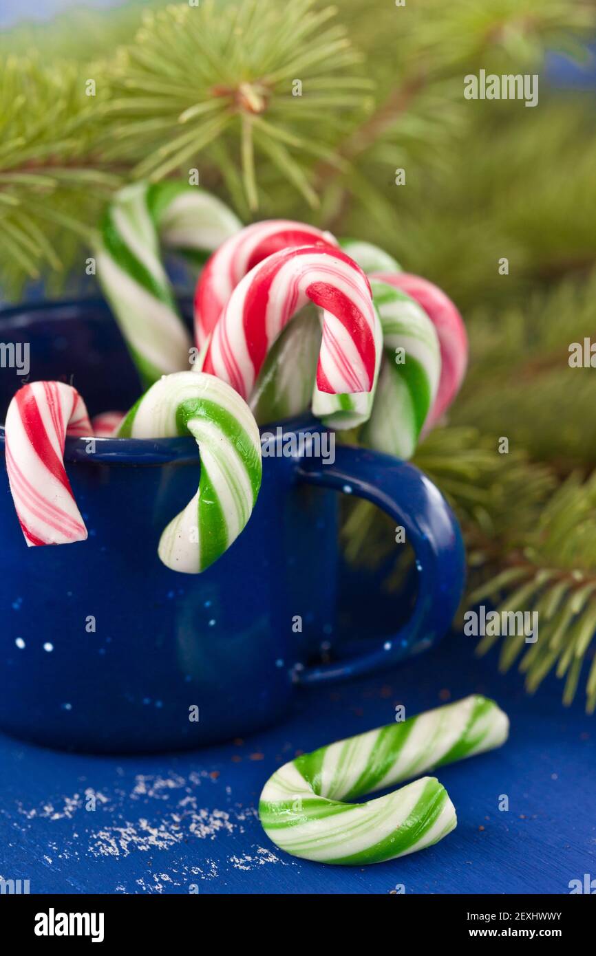 Colorful candy canes in small cup Stock Photo - Alamy