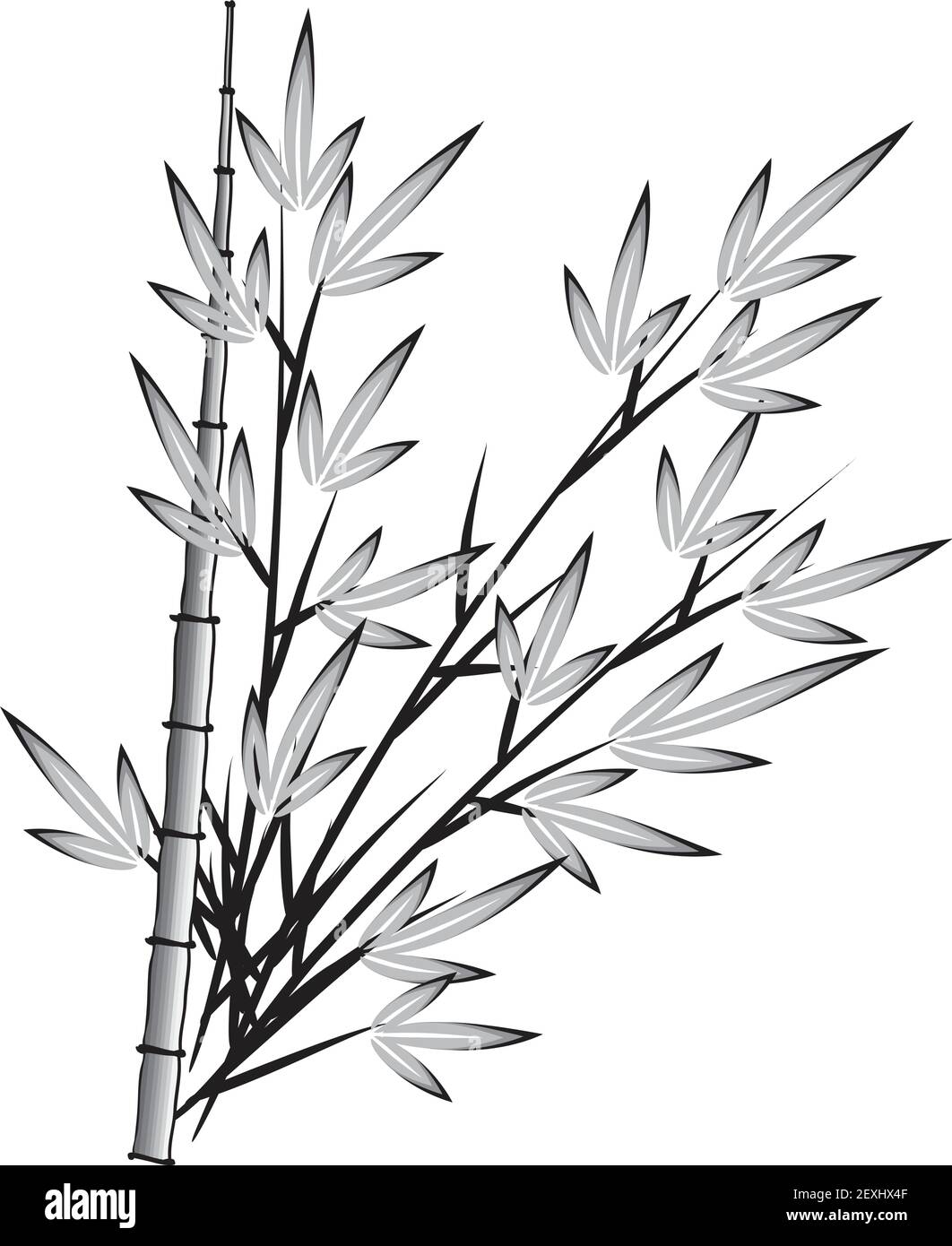 vector bamboo design Stock Vector Image & Art - Alamy