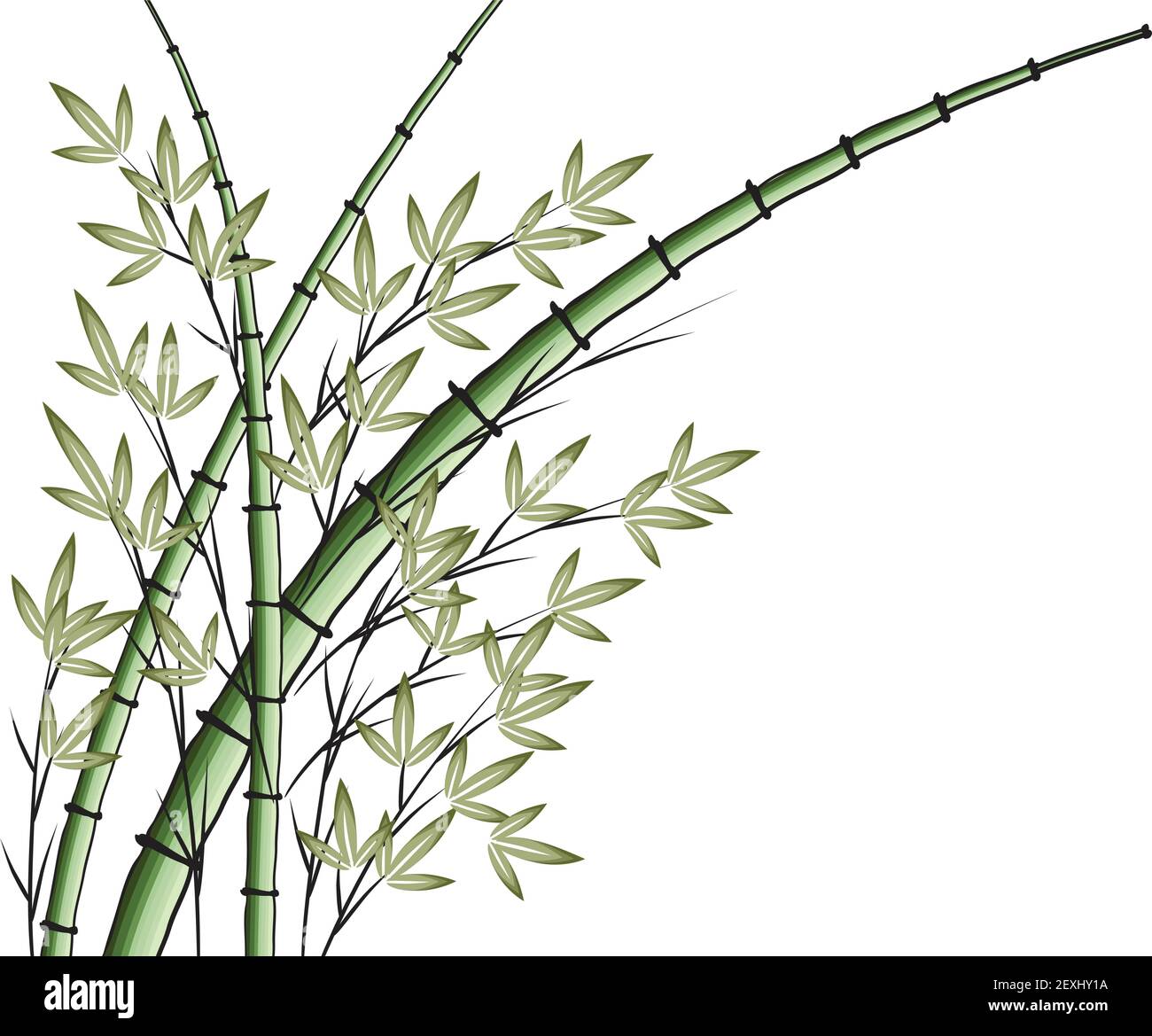 vector bamboo design Stock Vector Image & Art - Alamy