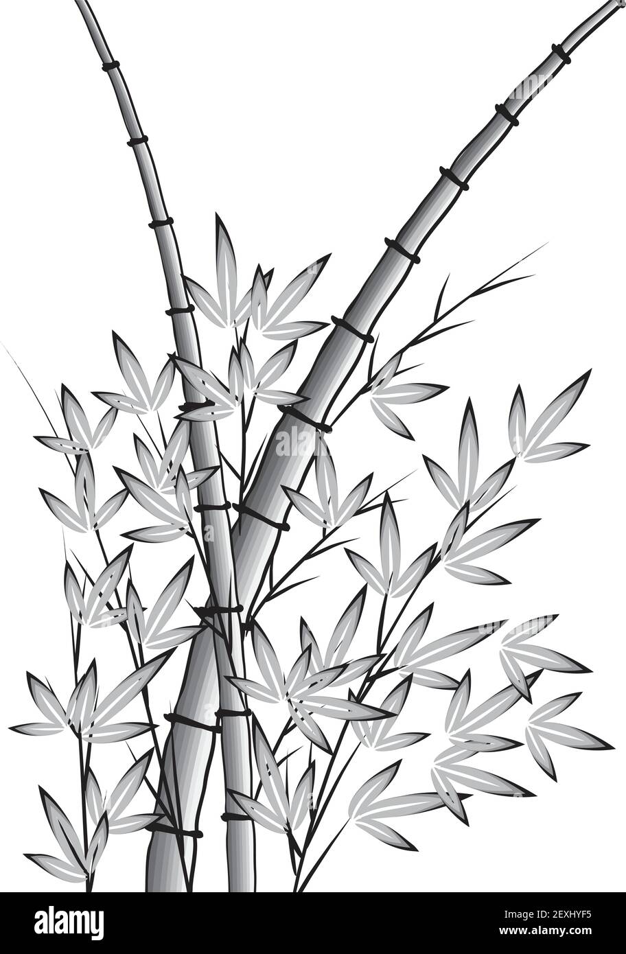 vector bamboo design Stock Vector Image & Art - Alamy