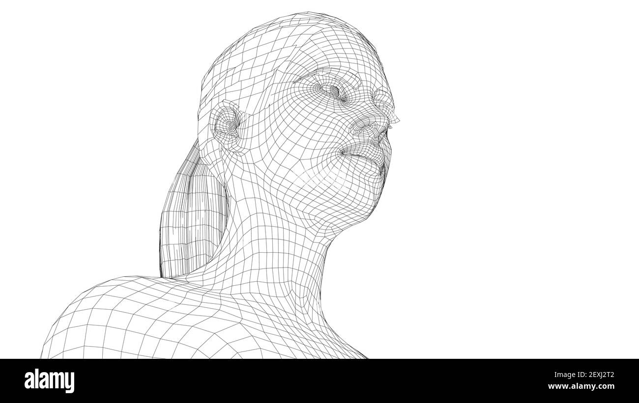 Wireframe portrait of a young beautiful girl Stock Vector Image & Art ...
