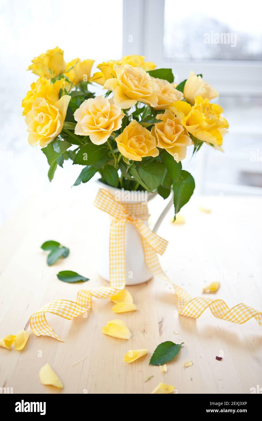 Fresh yellow roses Stock Photo - Alamy