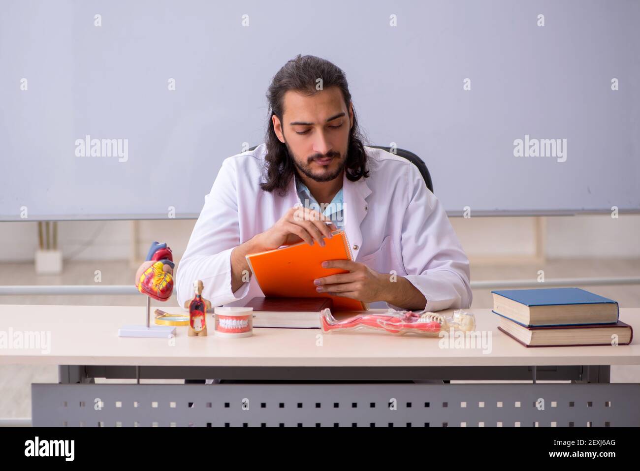 Young student studying human anatomy Stock Photo - Alamy