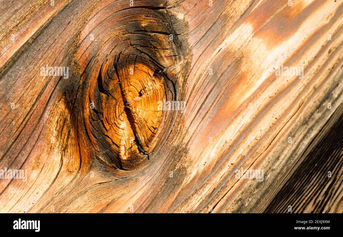 Knotty aged board surface hi-res stock photography and images - Alamy