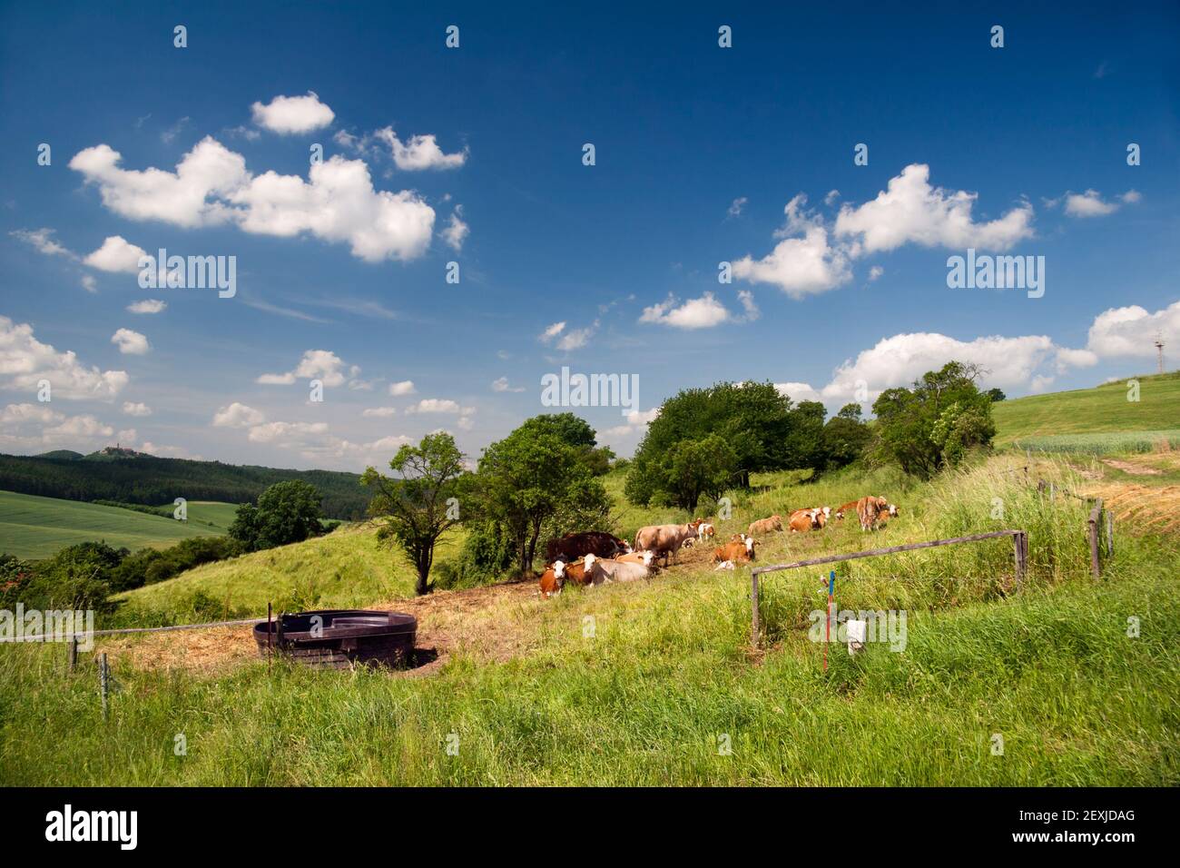 Thuringia landscape hi-res stock photography and images - Alamy