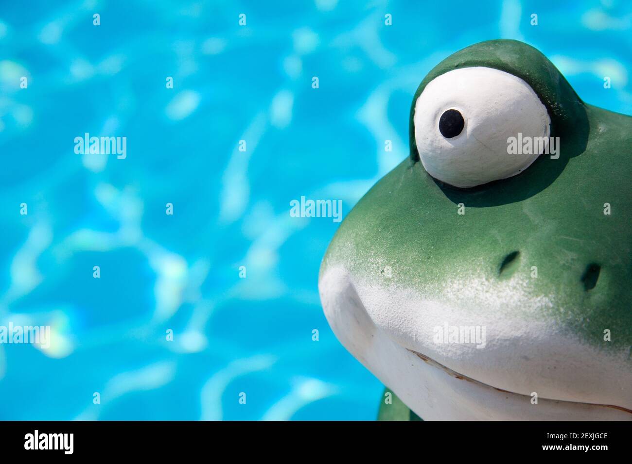 Frog eye view hi-res stock photography and images - Alamy