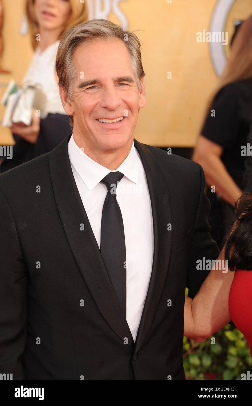 Scott Bakula attends the 20th Annual Screen Actors Guild Awards, SAG ...
