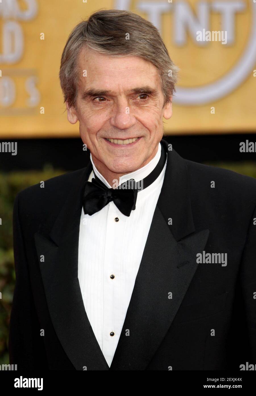 18 January 2014 - Los Angeles, California - Jeremy Irons. 20th Annual ...