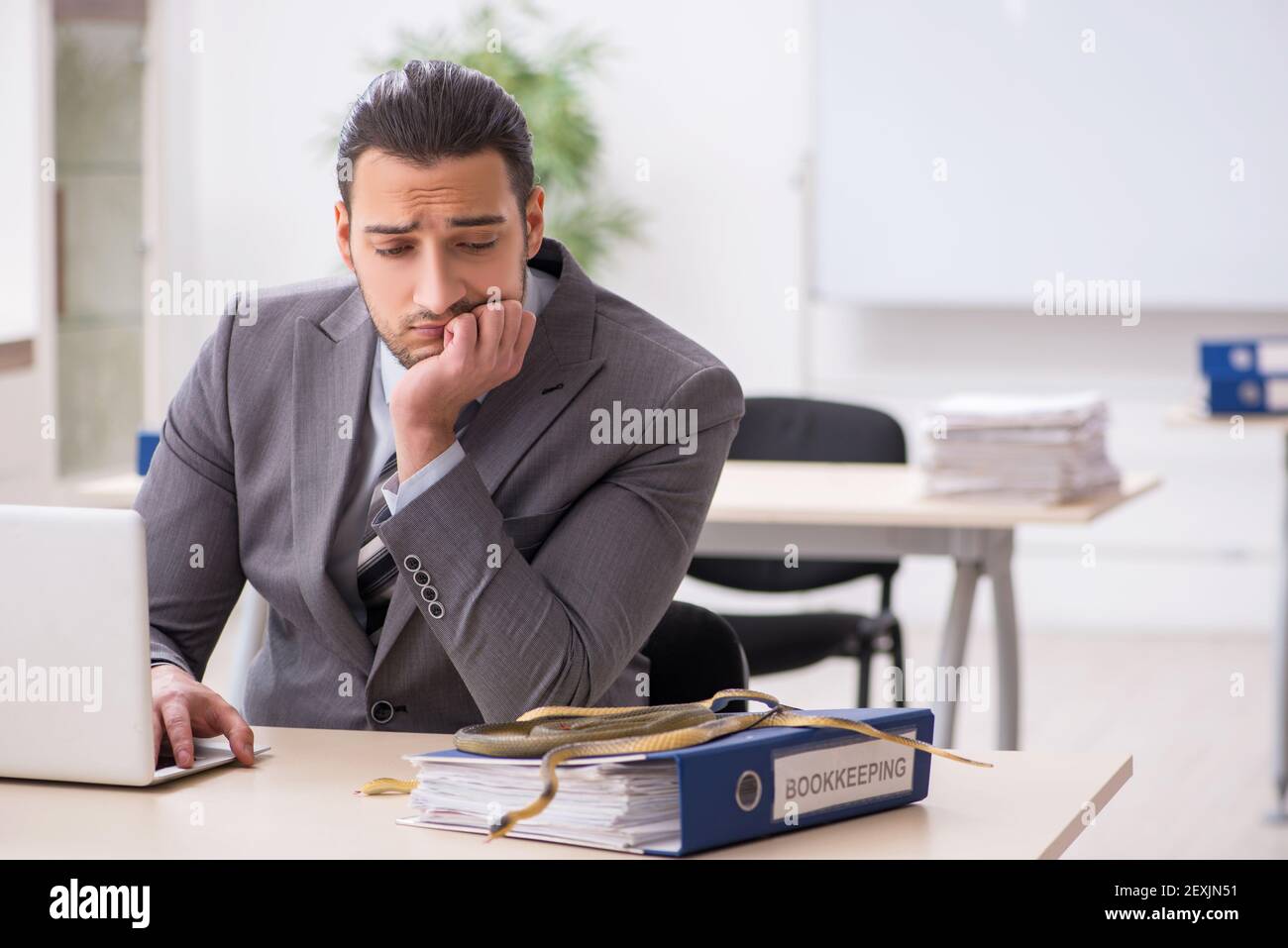 Male employee with snake in the office Stock Photo - Alamy