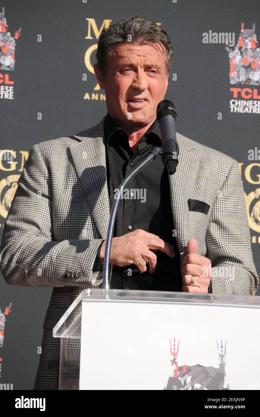 22 January 2014 - Hollywood, California - Sylvester Stallone. Metro ...