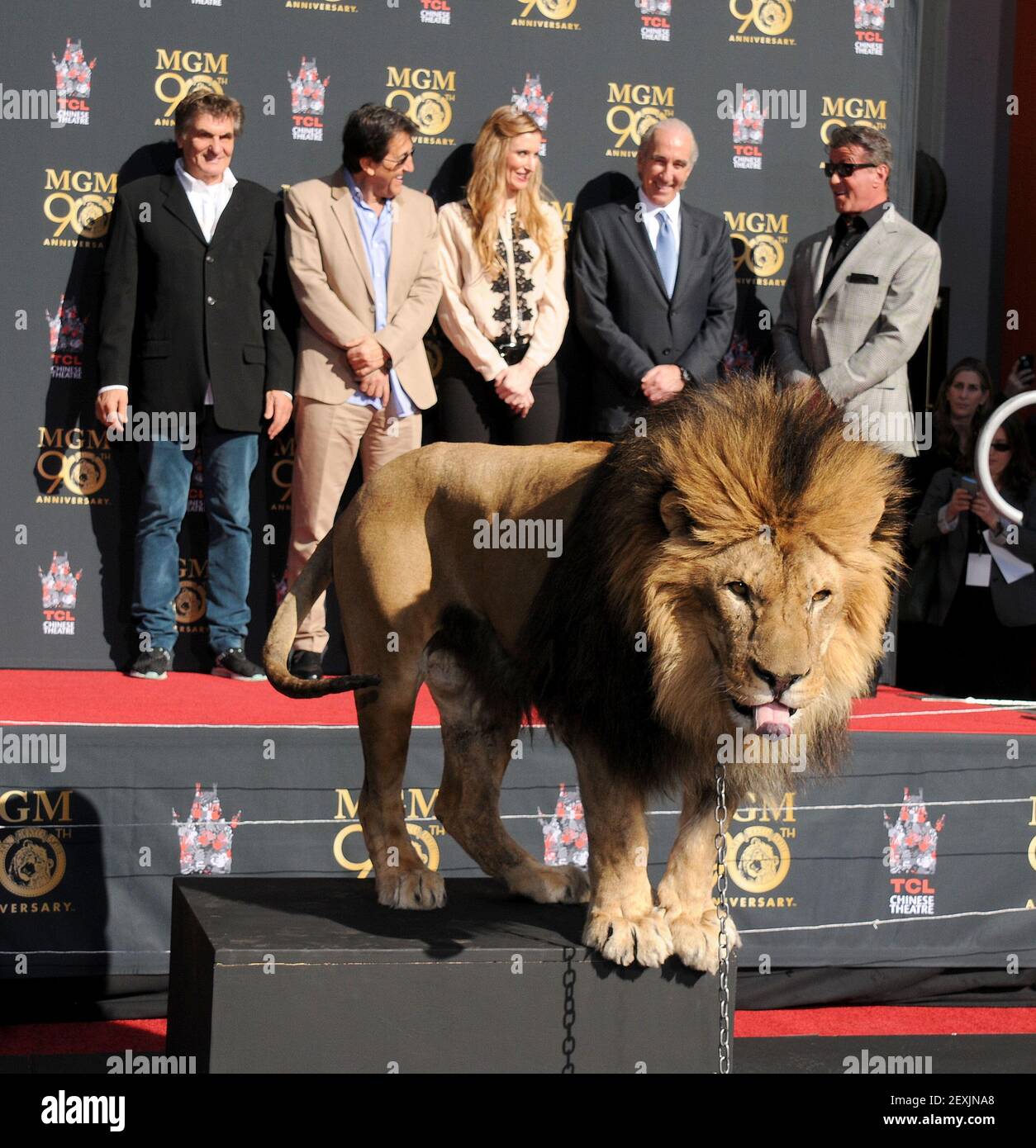22 January 2014 - Hollywood, California - Alwyn Hight Kushner, Gary ...