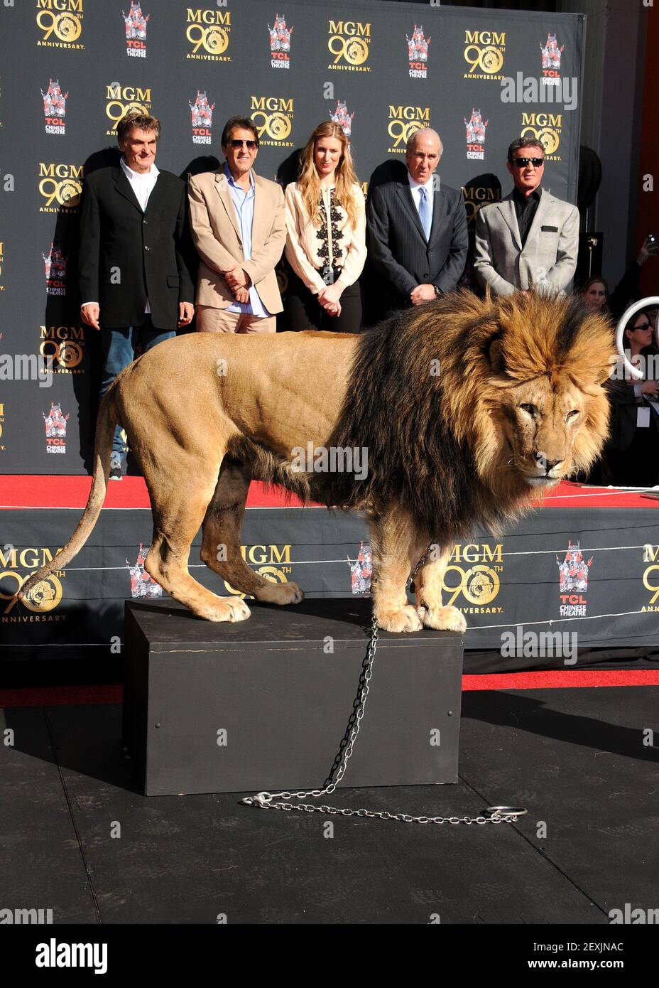 22 January 2014 - Hollywood, California - Alwyn Hight Kushner, Gary ...