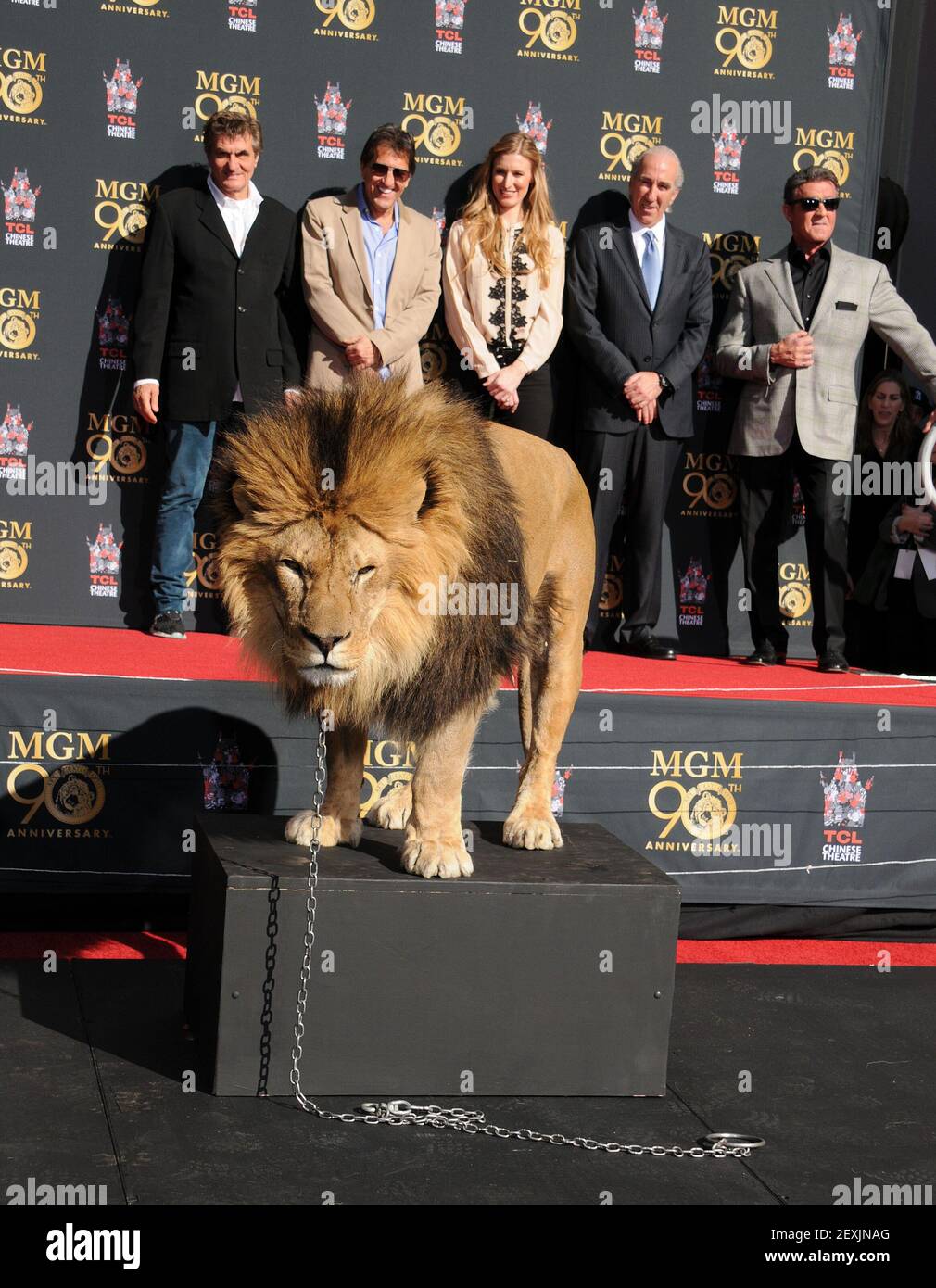 22 January 2014 - Hollywood, California - Alwyn Hight Kushner, Gary ...