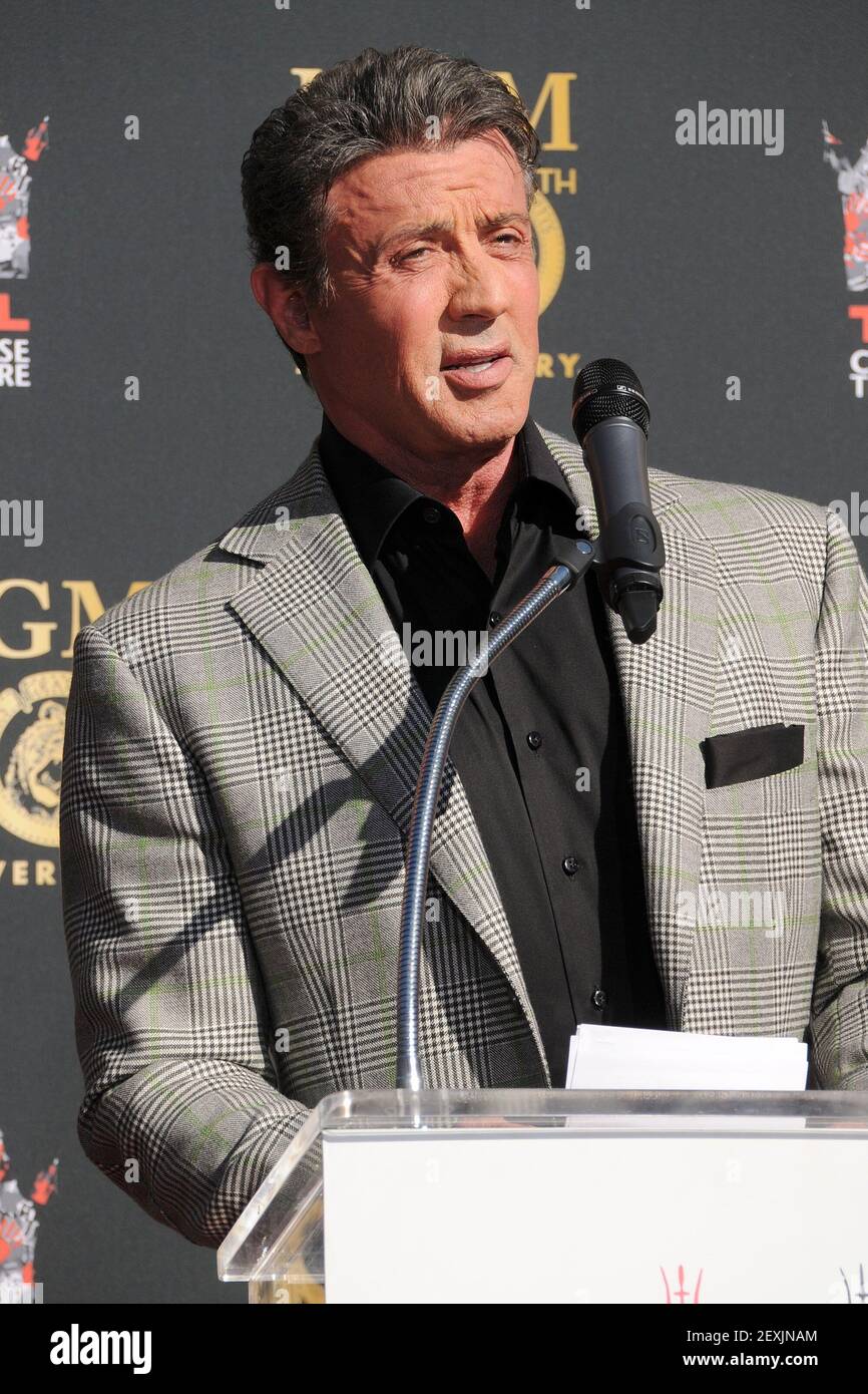 22 January 2014 - Hollywood, California - Sylvester Stallone. Metro ...