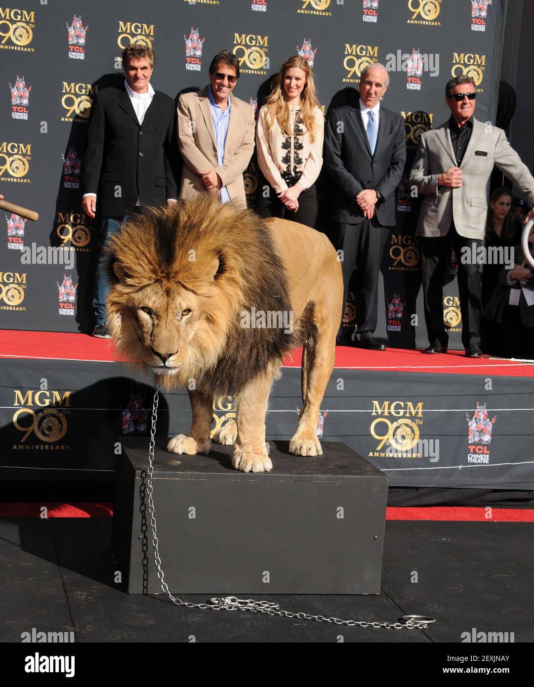 22 January 2014 - Hollywood, California - Alwyn Hight Kushner, Gary ...